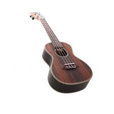 Snail Concert Ukulele UKC-498 – The Sheffield Music Store